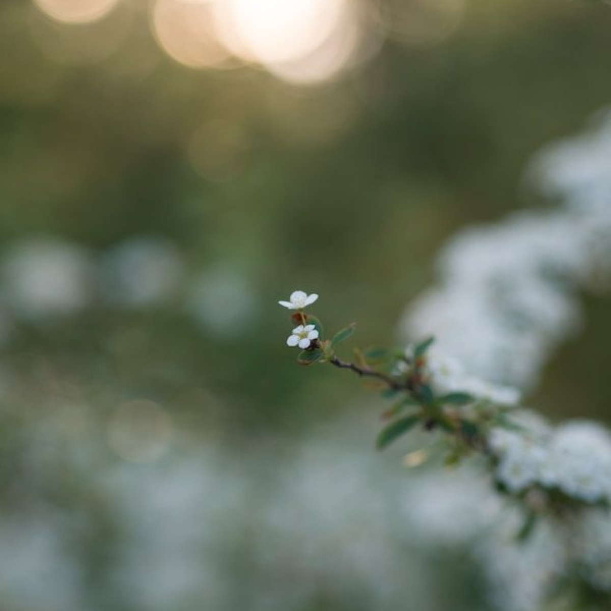 Small ways to make a big difference in 2024 - Richard Challoner School