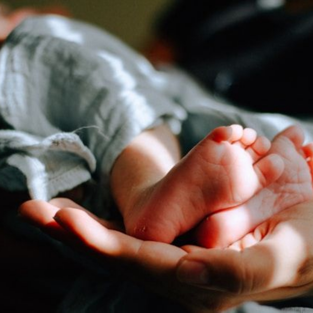 What does it mean to be made in God’s image? - Richard Challoner School