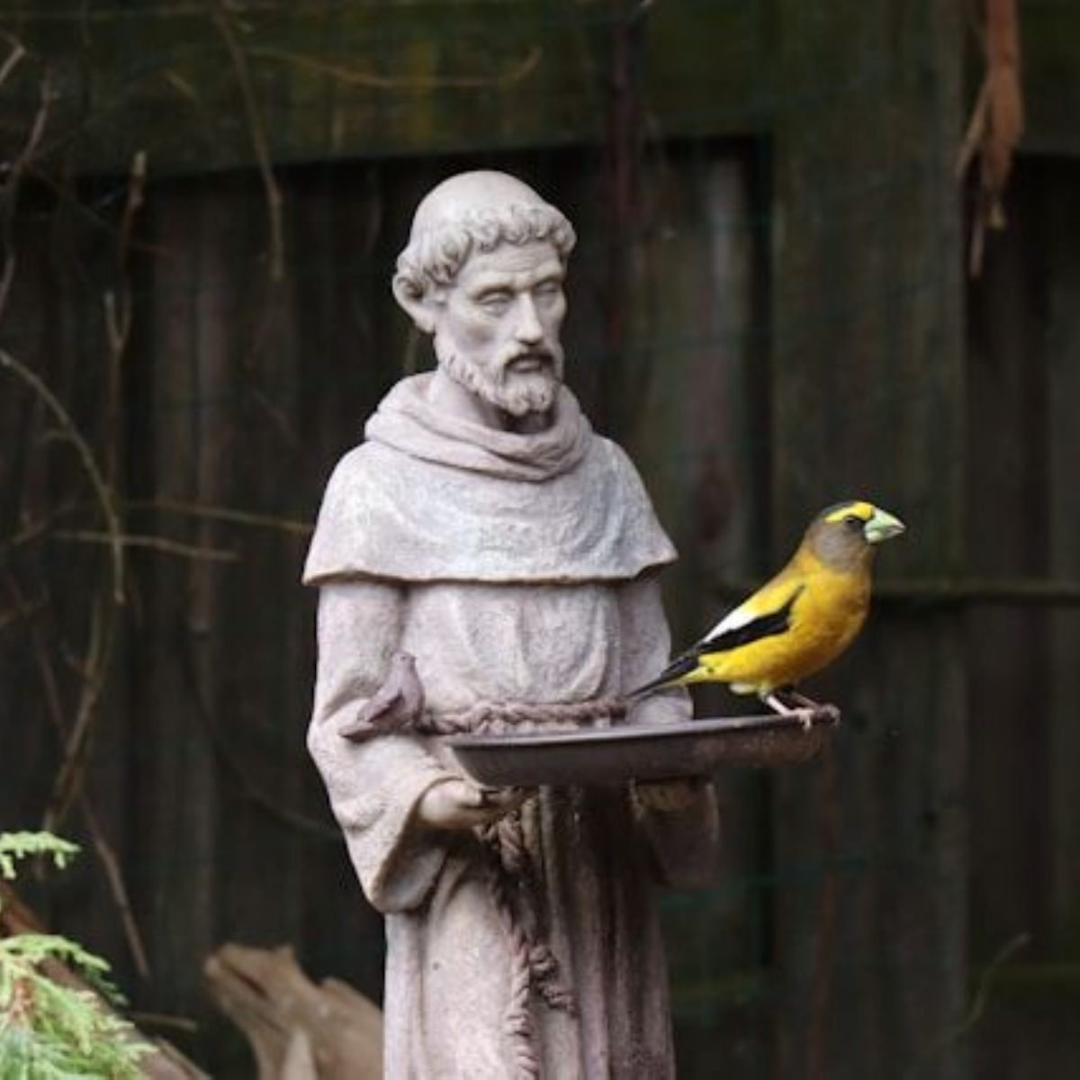 The remains of St Francis of Assisi - Richard Challoner School