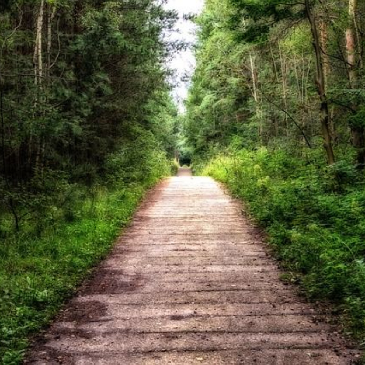 Making straight our paths - Richard Challoner School